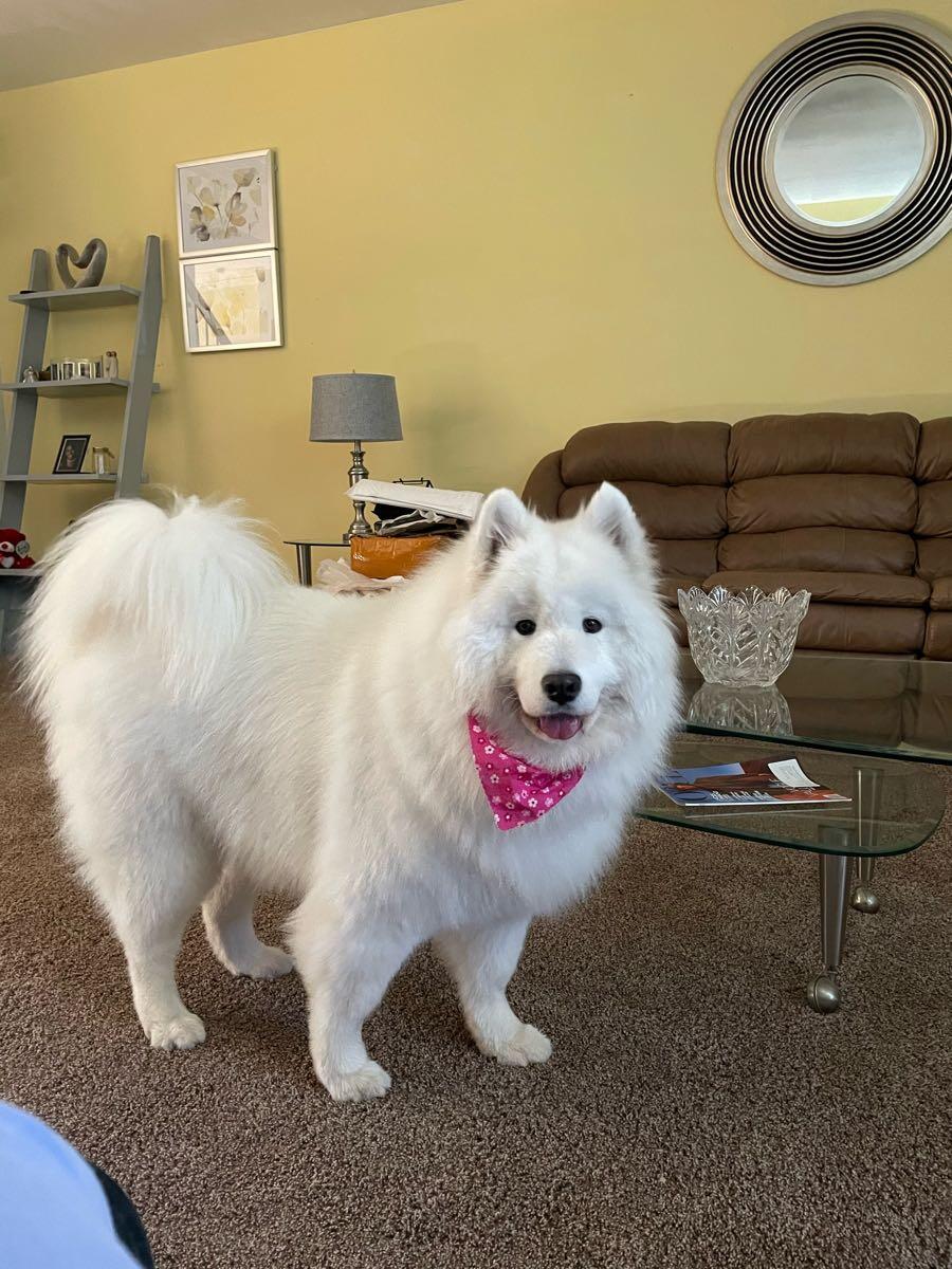 Legacy Park, Fort Mill | Everything You Need to Know