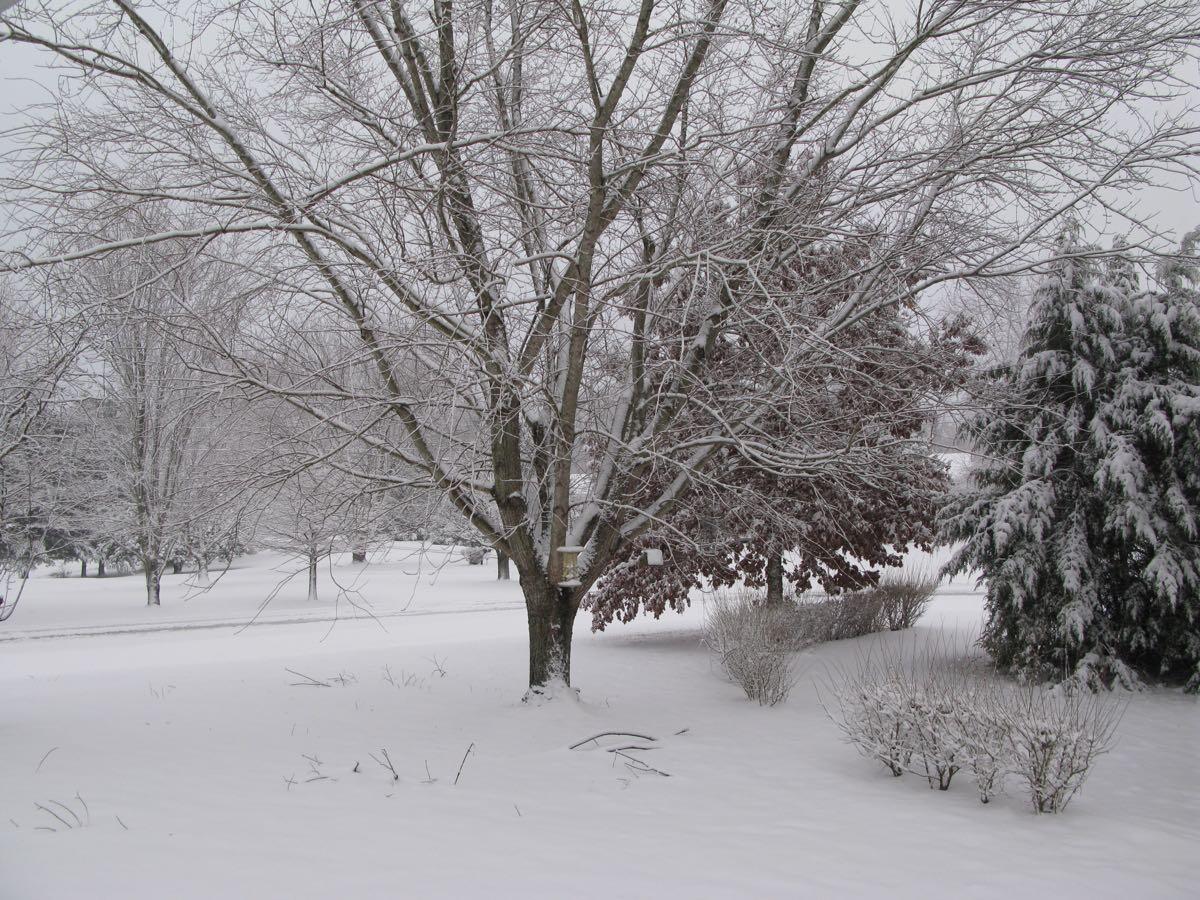 Marrowbone/Beaman Park, Joelton | Everything You Need to Know