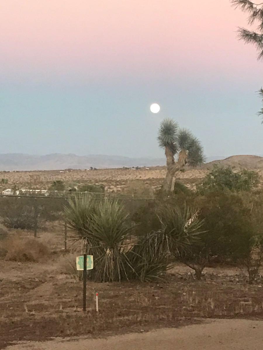 Johnson Valley, Johnson Valley | Everything You Need to Know