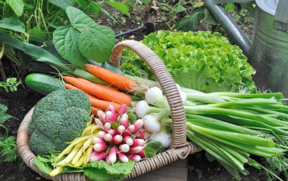 Riverside/Avondale Historic District, Jacksonville | Everything You ...