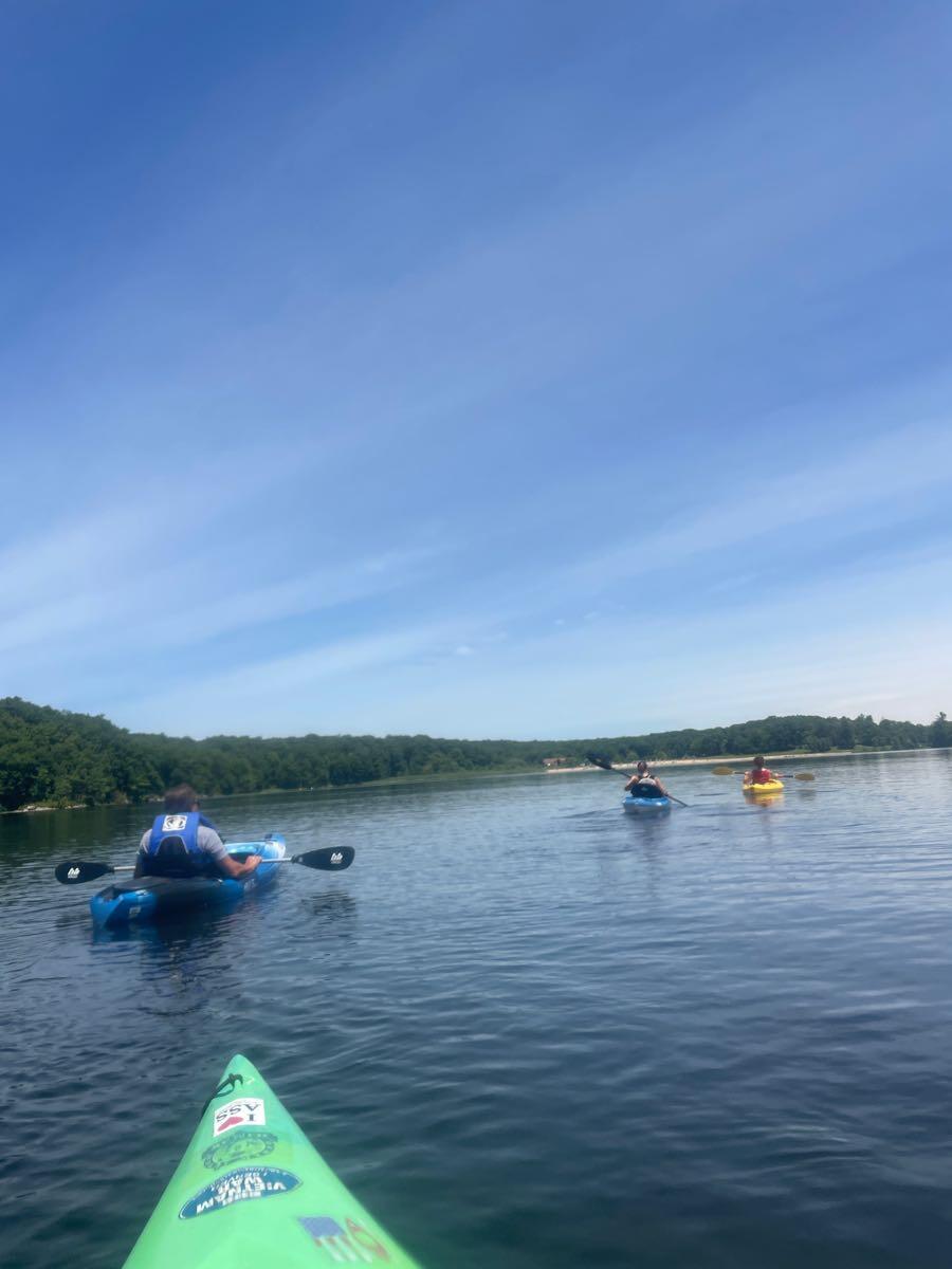 Haskell Haskell Everything You Need To Know