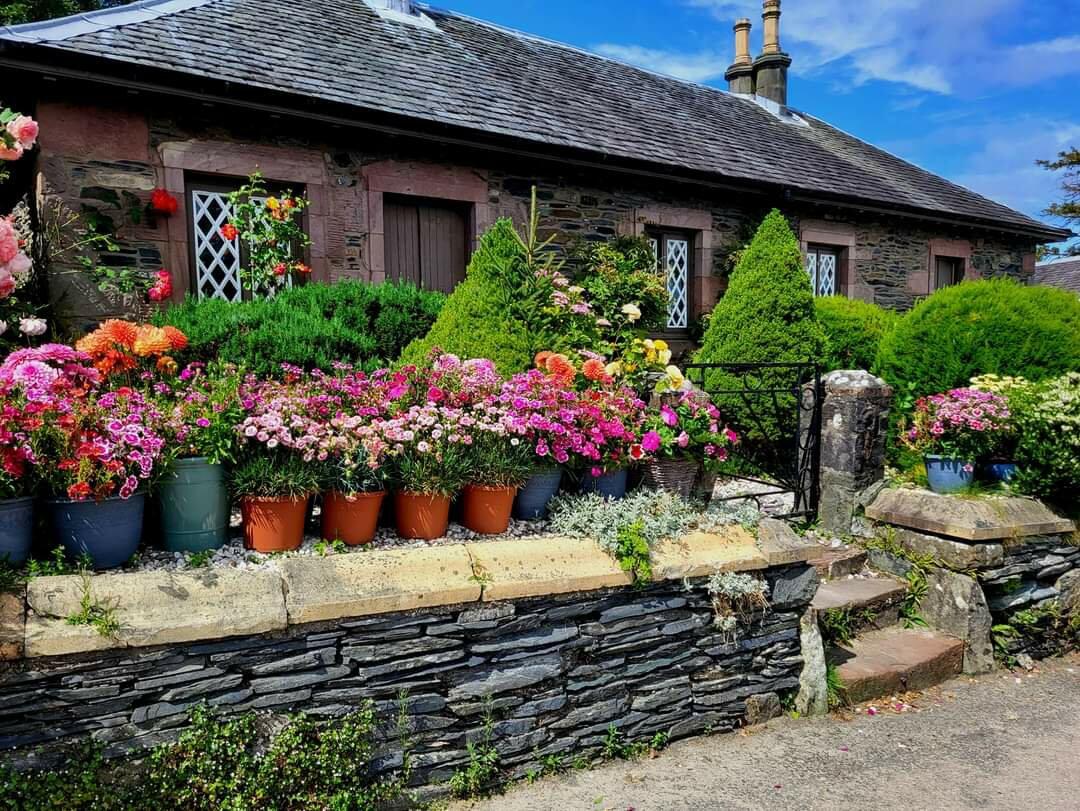 Dalmarnock, Glasgow | Everything You Need to Know