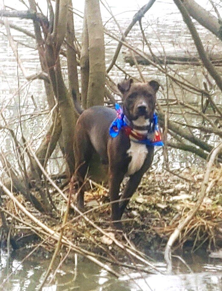 Mansfield, OH | News, Crime, Lost Pets, Free Stuff