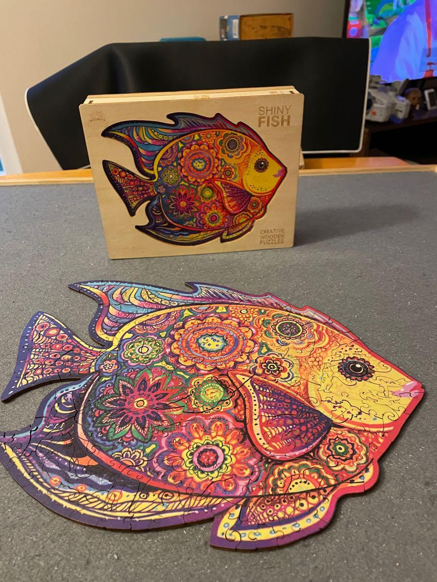 Anholm, San Luis Obispo | 2024