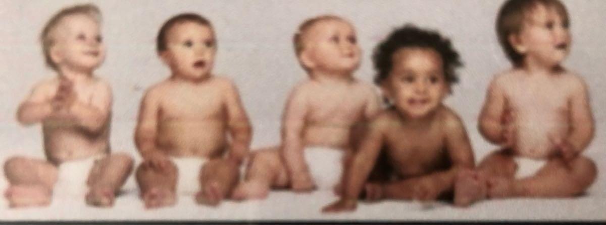 Horringer Court, Bury St. Edmunds | Everything You Need to Know