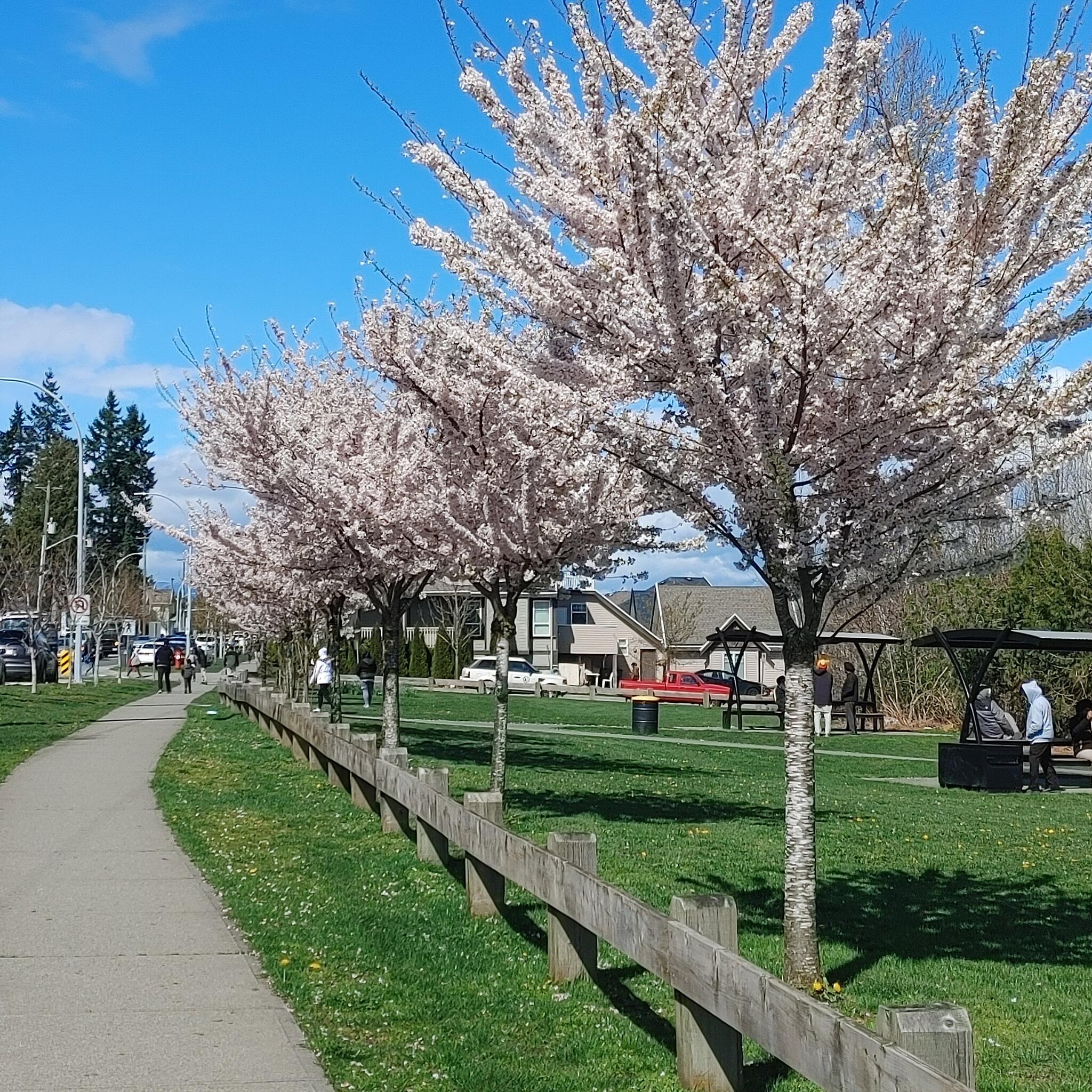 Port Kells, Surrey | Everything You Need to Know