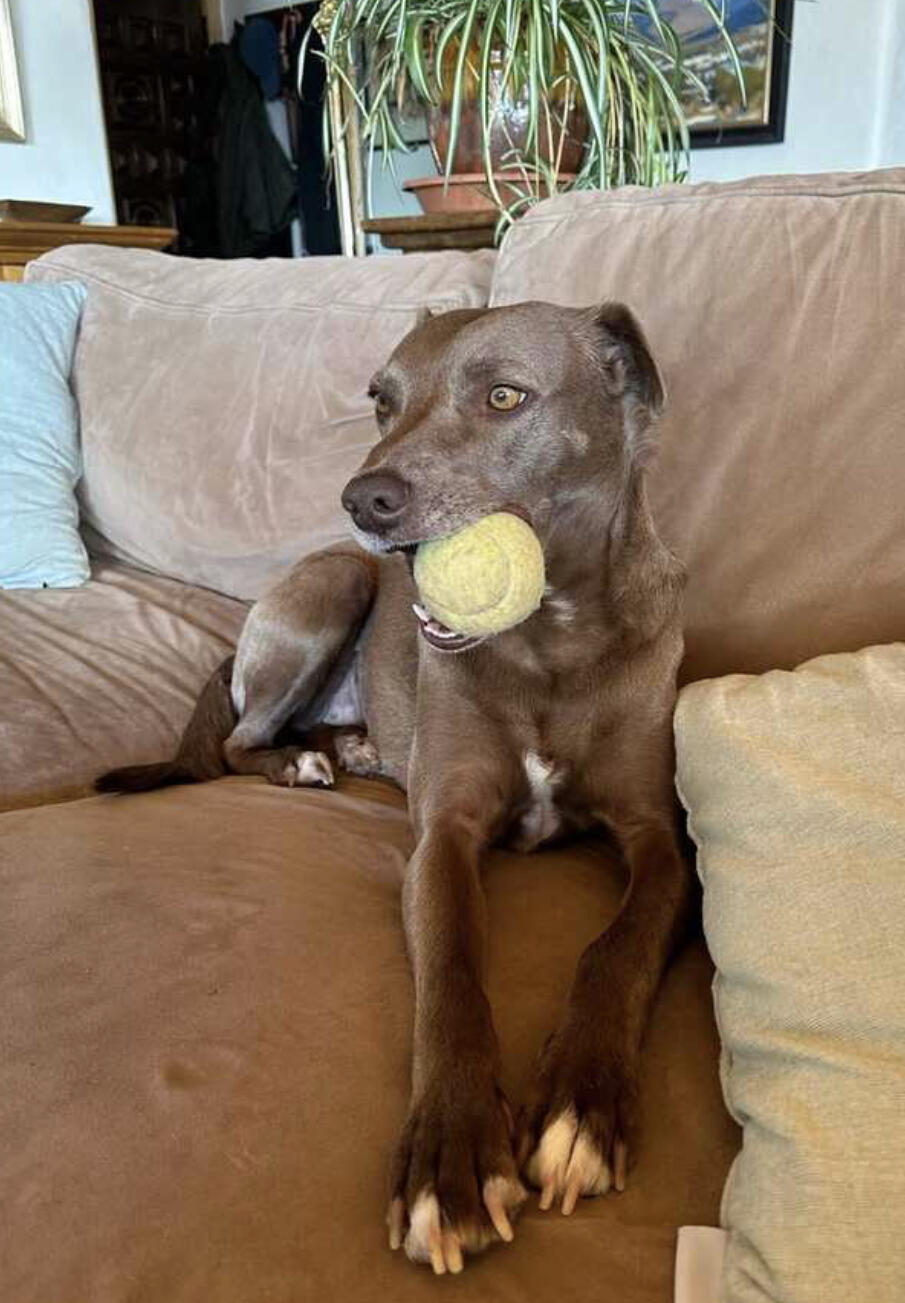 Eldorado at Santa Fe, Santa Fe | Everything You Need to Know