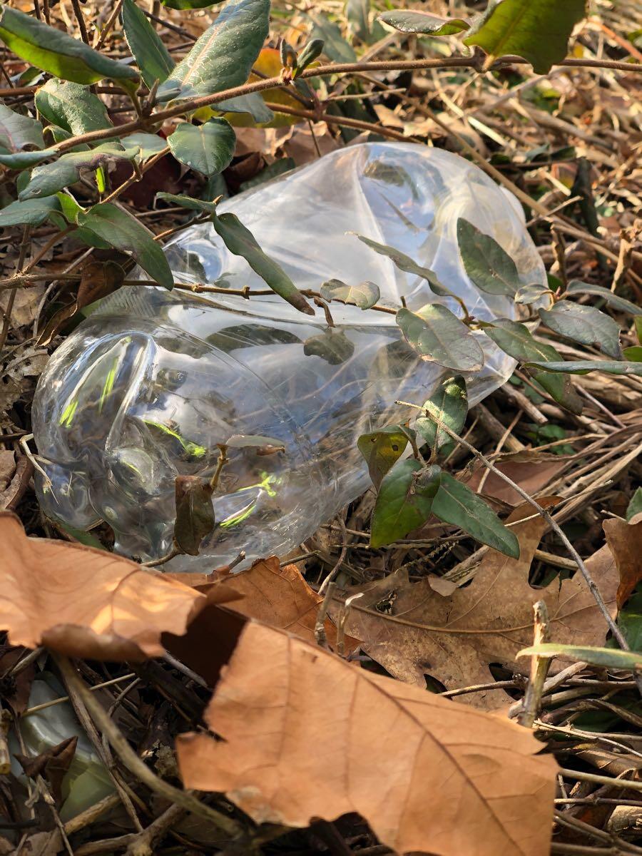 Linthicum, Linthicum Heights | Everything You Need to Know