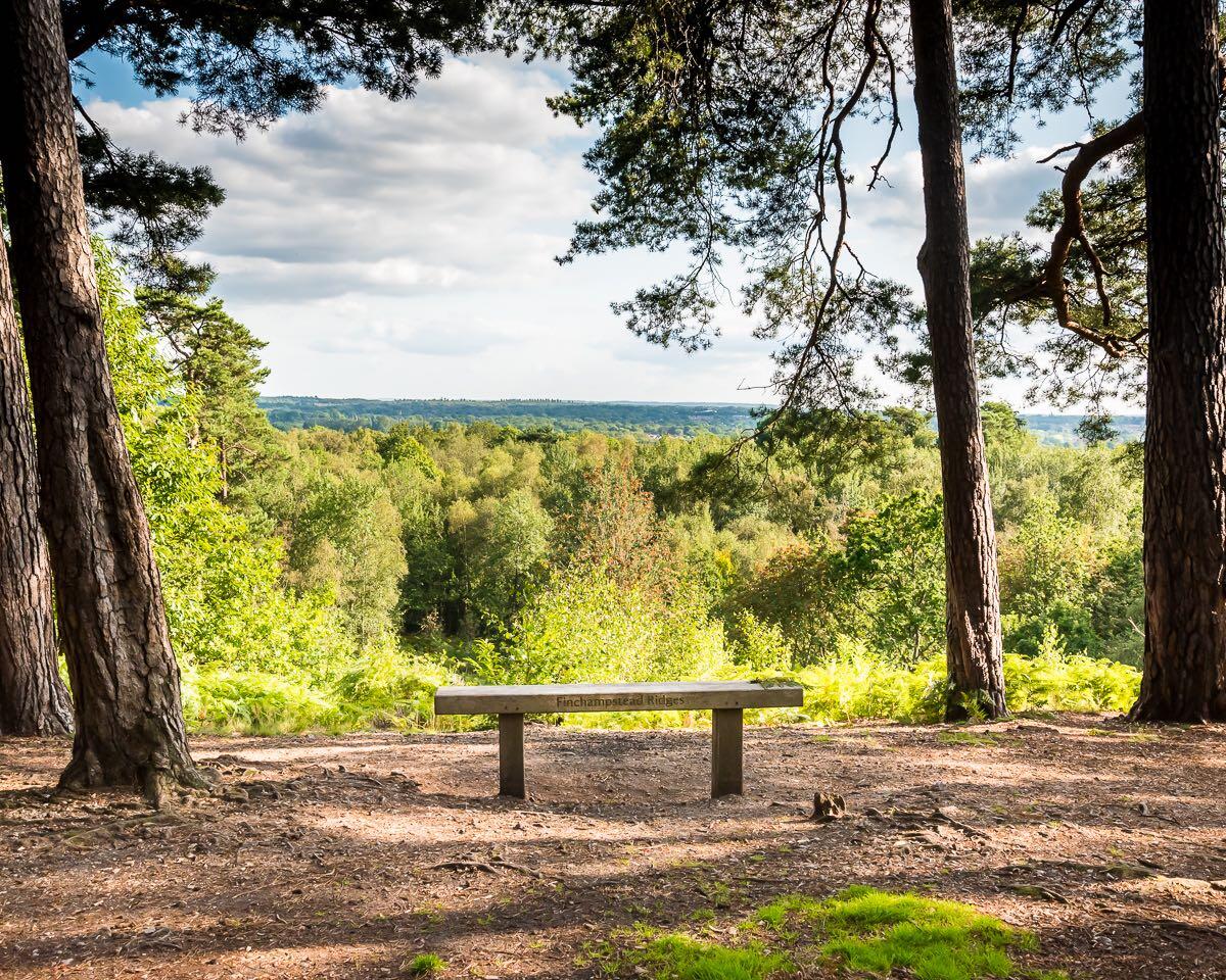Eversley, Eversley | Everything You Need to Know