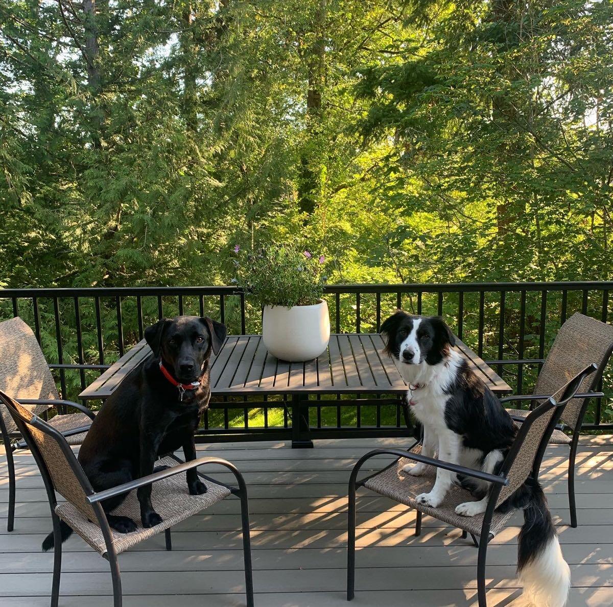 Bellingham, WA | Everything You Need to Know