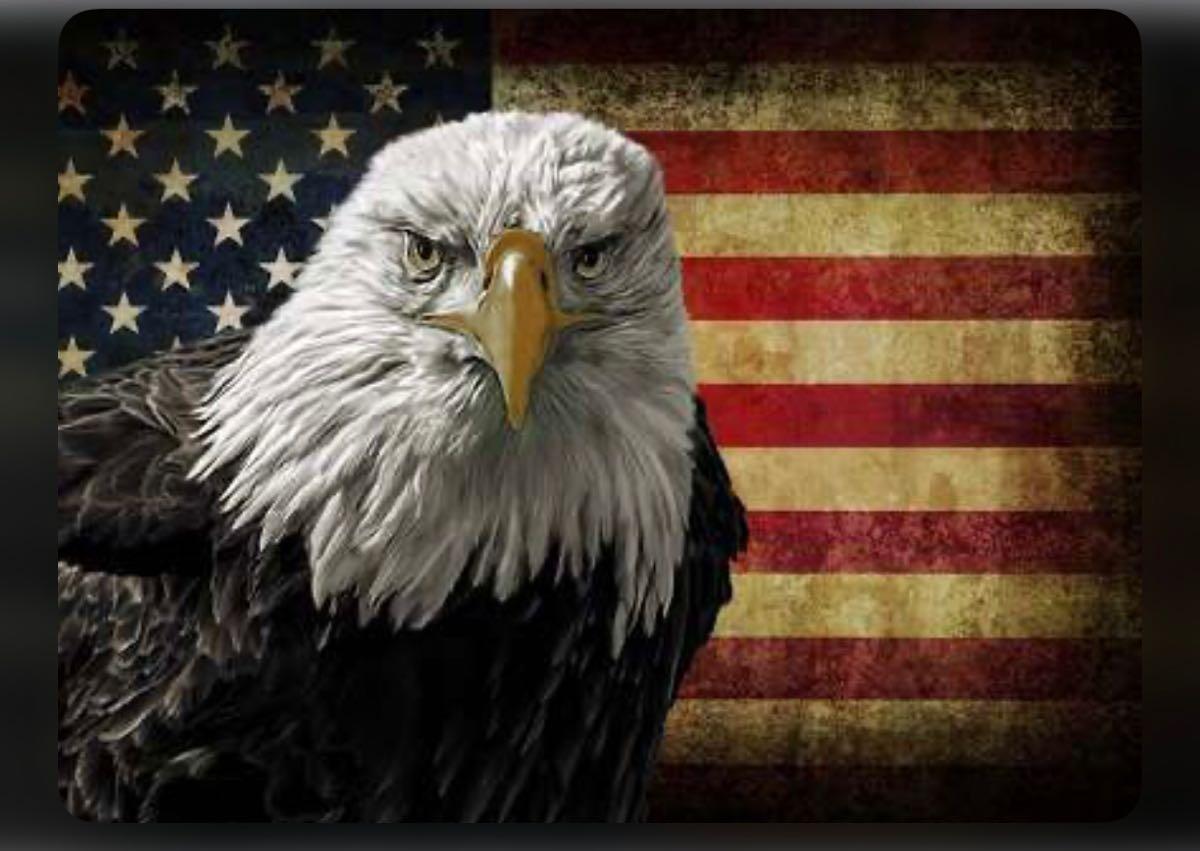 Bent Tree, Jasper | Everything You Need to Know