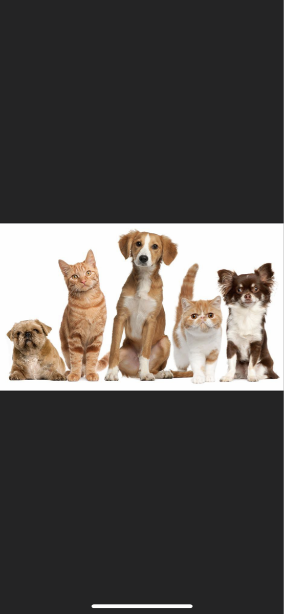 Phillips Ranch, Pomona | Trick or Treat Map and Everything You Need to Know