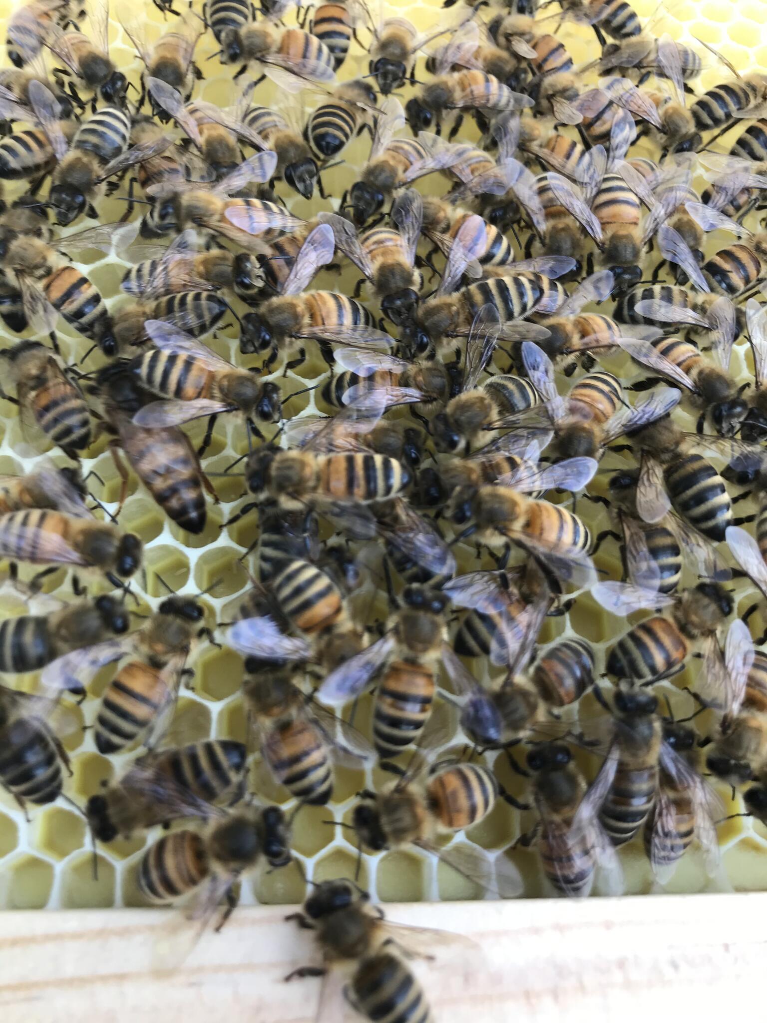 Albuquerque, NM | News, Crime, Lost Pets, Free Stuff