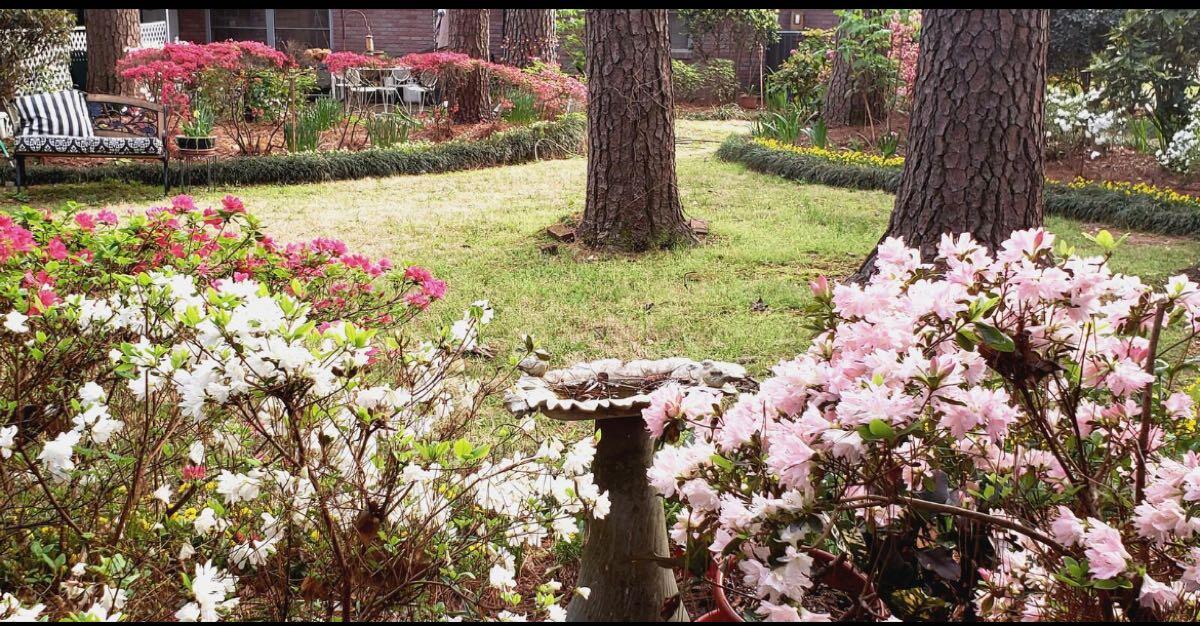 Fondren, Jackson | Everything You Need to Know