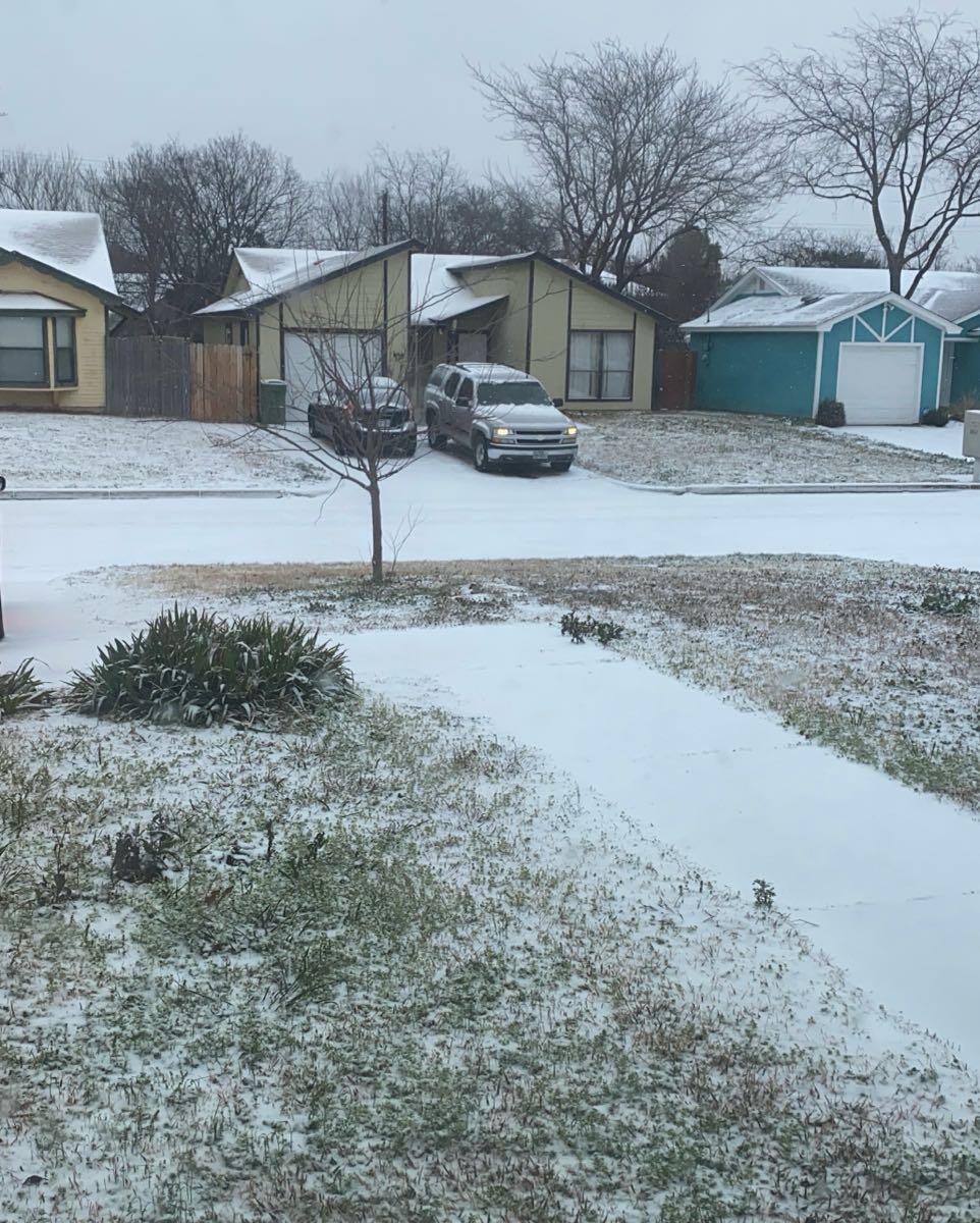 Viridian Arlington Everything You Need To Know