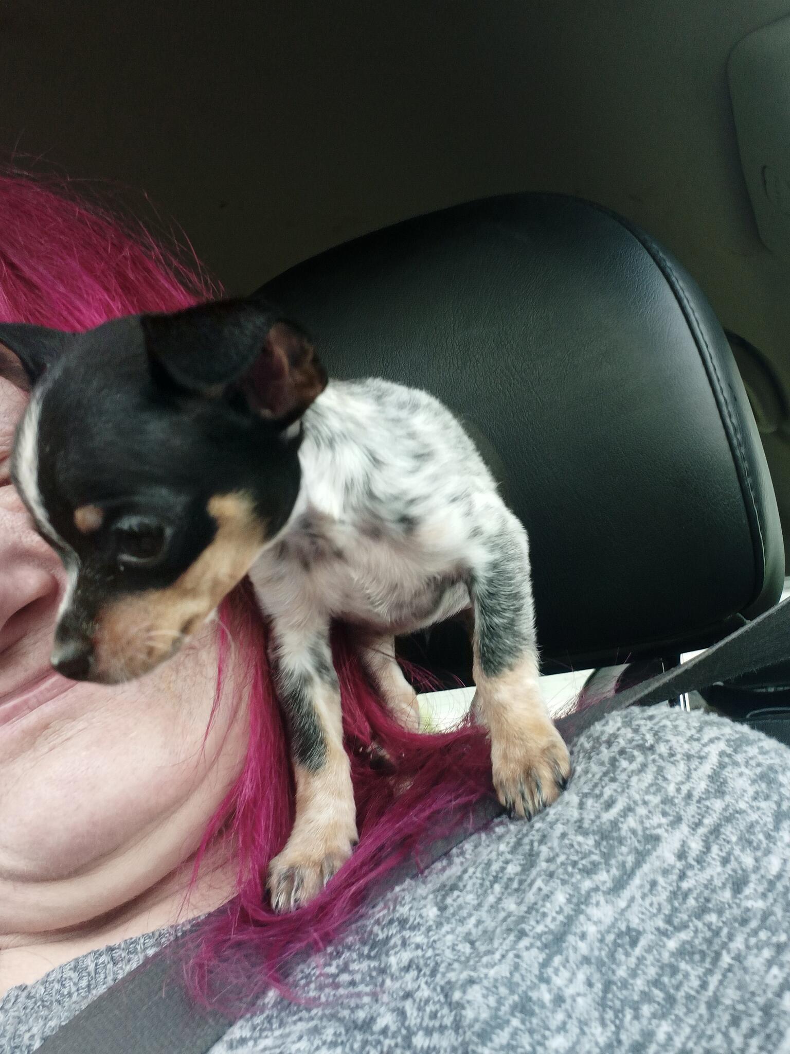 Scurry, TX | News, Crime, Lost Pets, Free Stuff