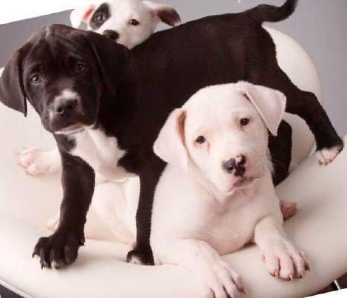 Fondren, Jackson | Everything You Need to Know