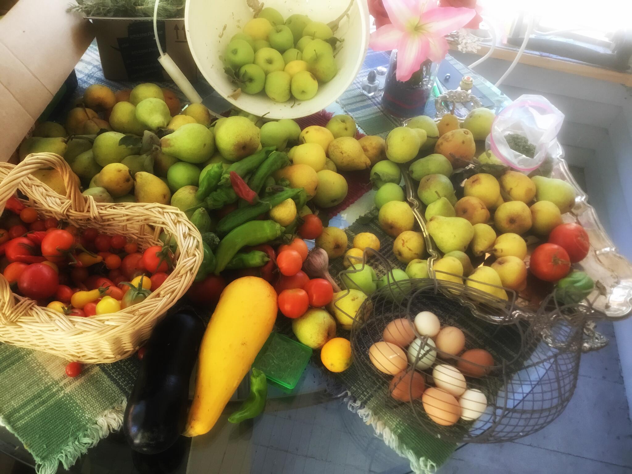 Canoa Seca Estates, Green Valley | Everything You Need to Know