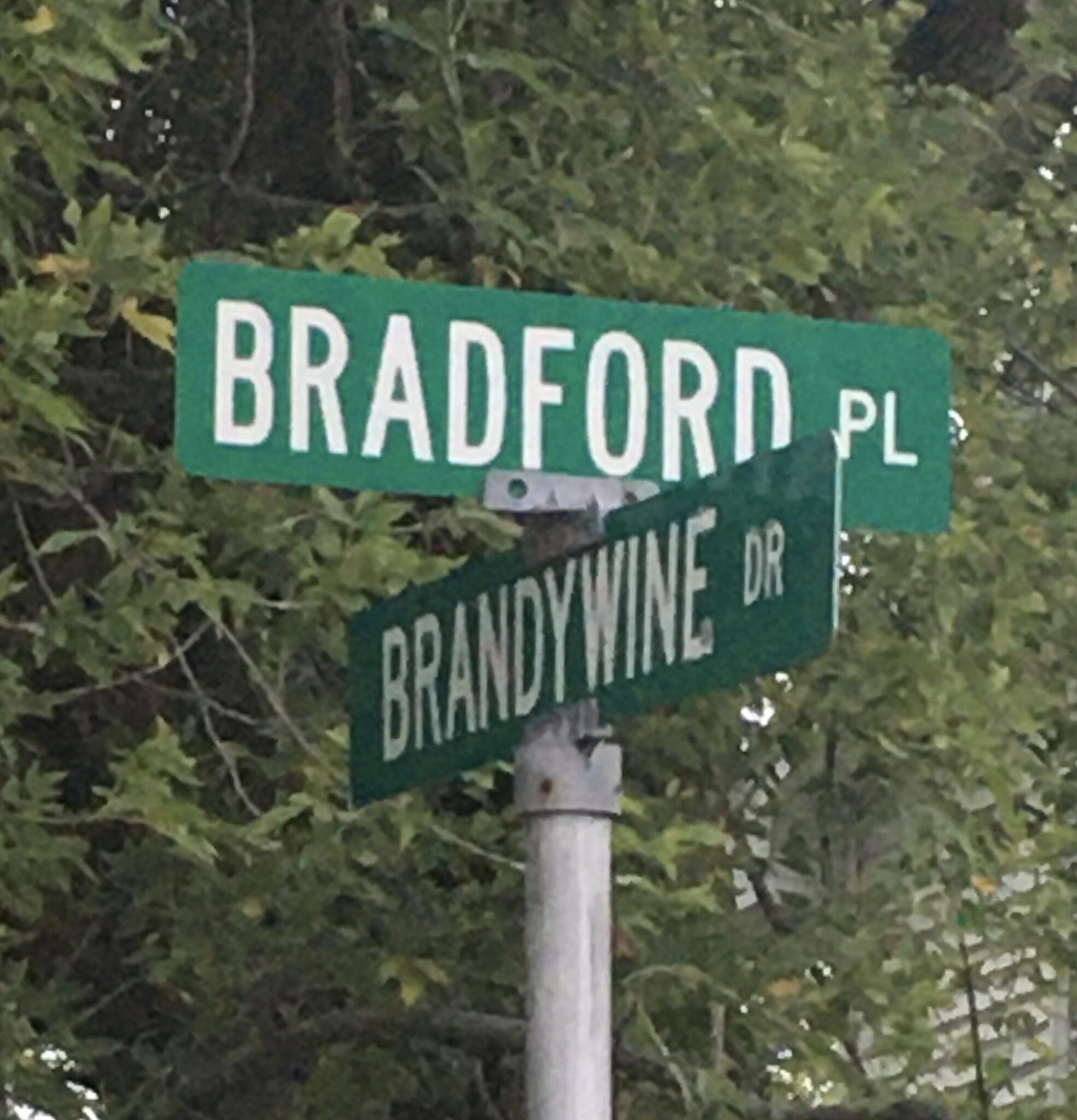 Candlewick Lake, Poplar Grove | Trick or Treat Map and Everything You ...