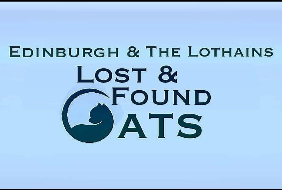Easter Road, Edinburgh | Everything You Need to Know