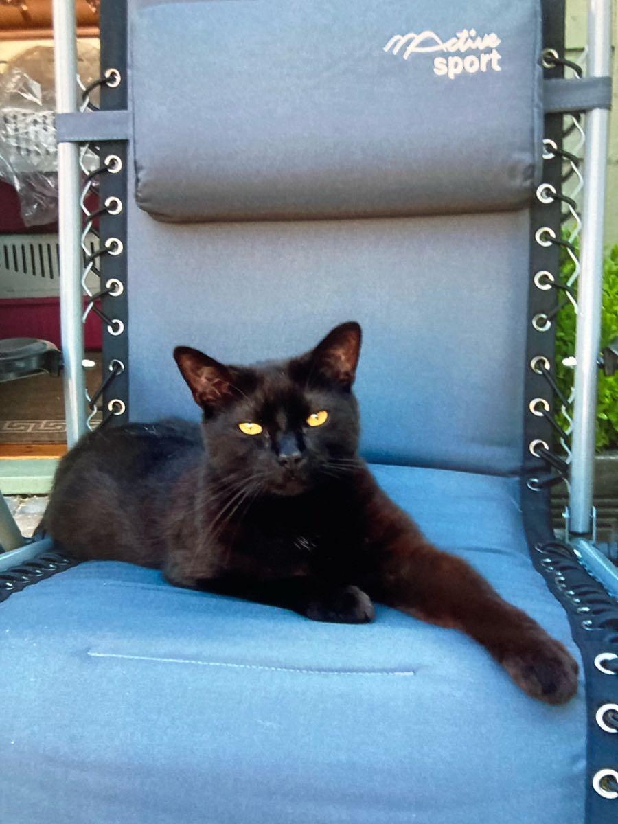 Pinchbeck, England | News, Crime, Lost Pets, Free Stuff