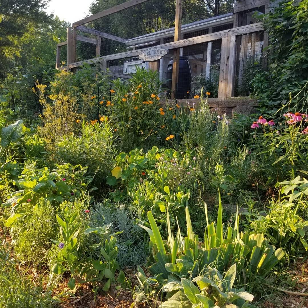 Bedford at Falls River, Raleigh | Everything You Need to Know