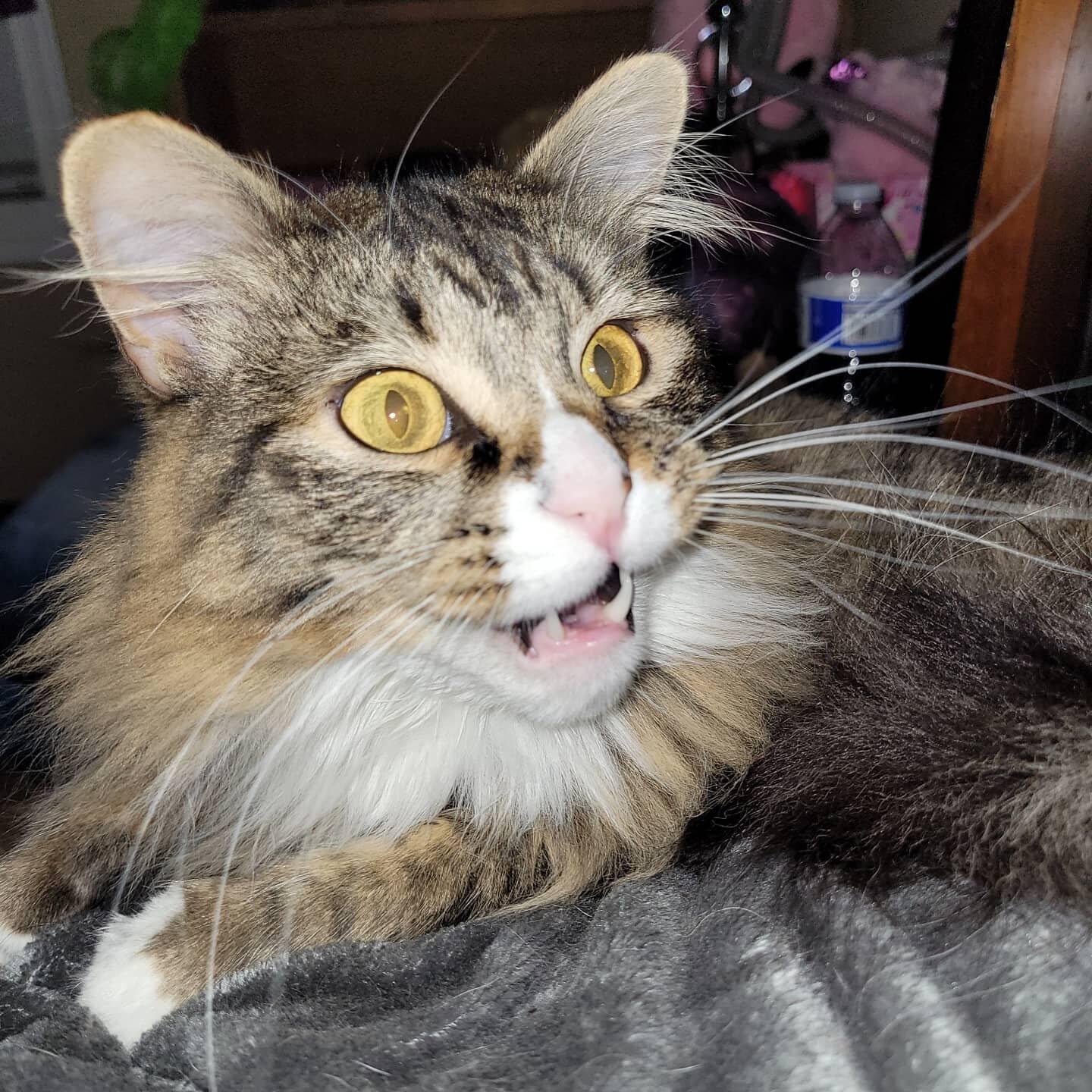 Ebey Island, Everett | Everything You Need to Know