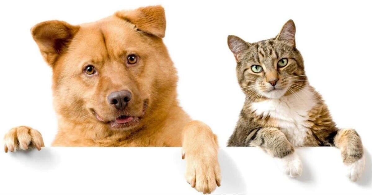Kittybrewster, Aberdeen | Everything You Need to Know