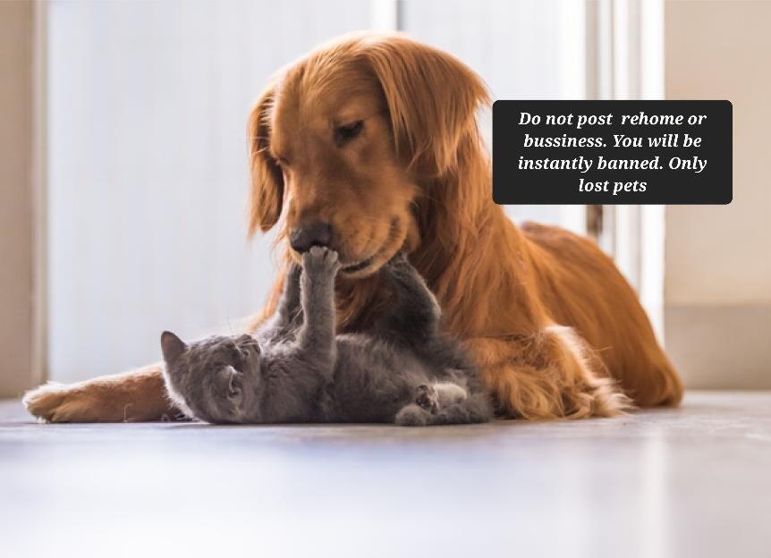 Mariposa, Rio Rancho | Everything You Need to Know