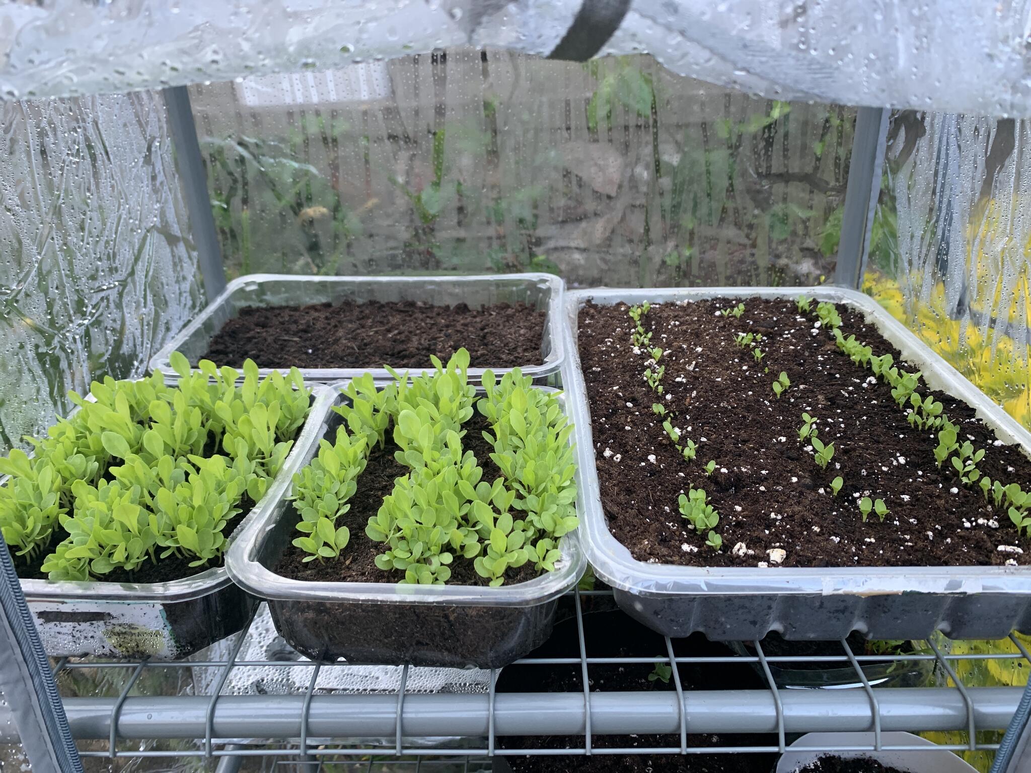 Shirehampton Village, Bristol | Everything You Need to Know