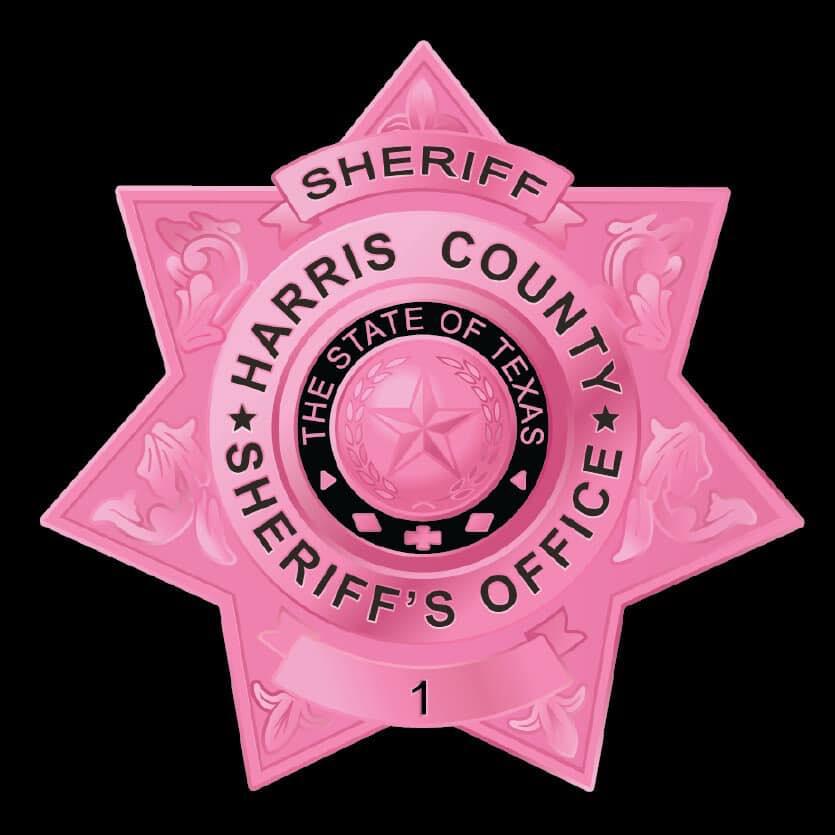 The Harris County Sheriff's Office Virtual Roll Call: Exploring a ...