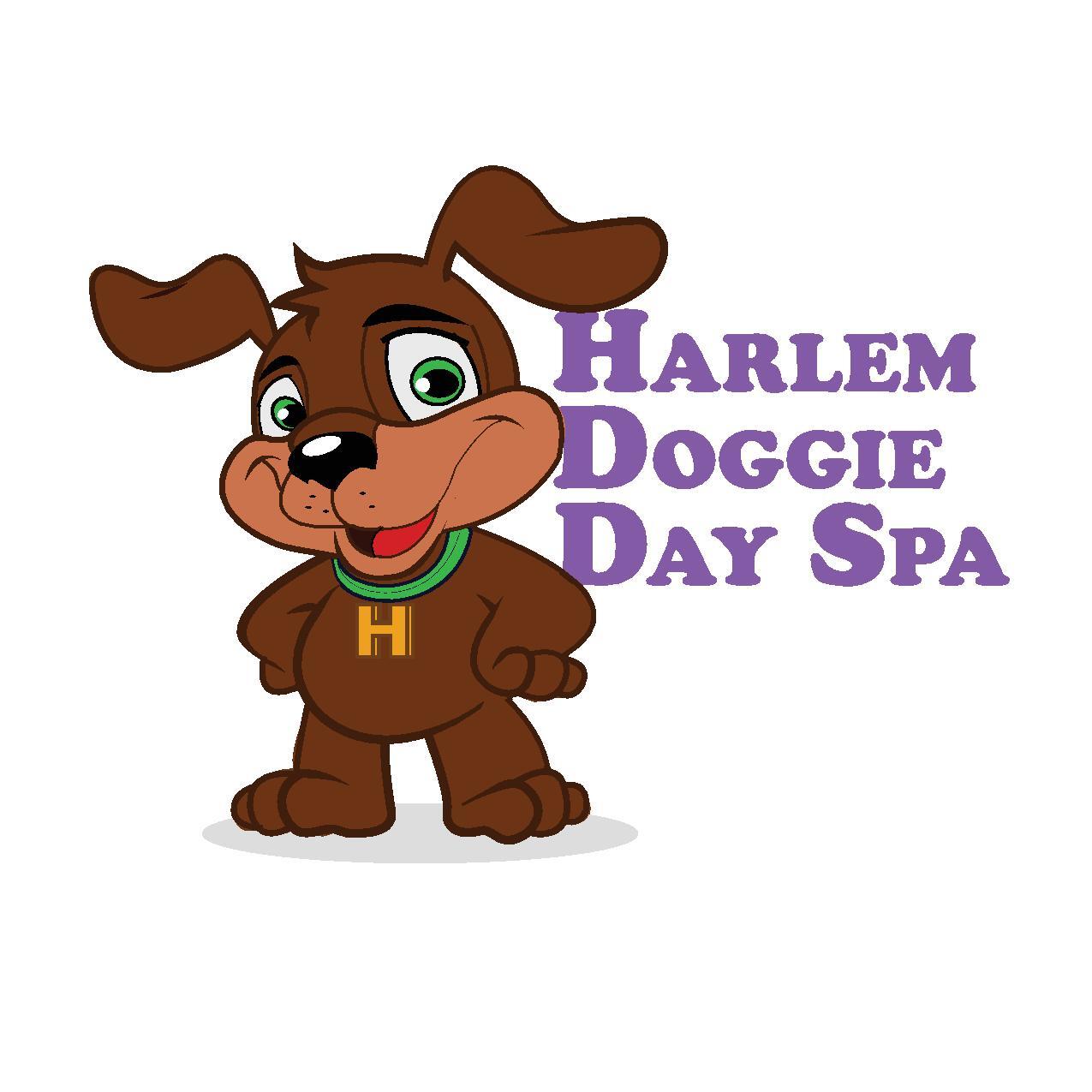 Harlem Doggie Day Spa New York NY Nextdoor