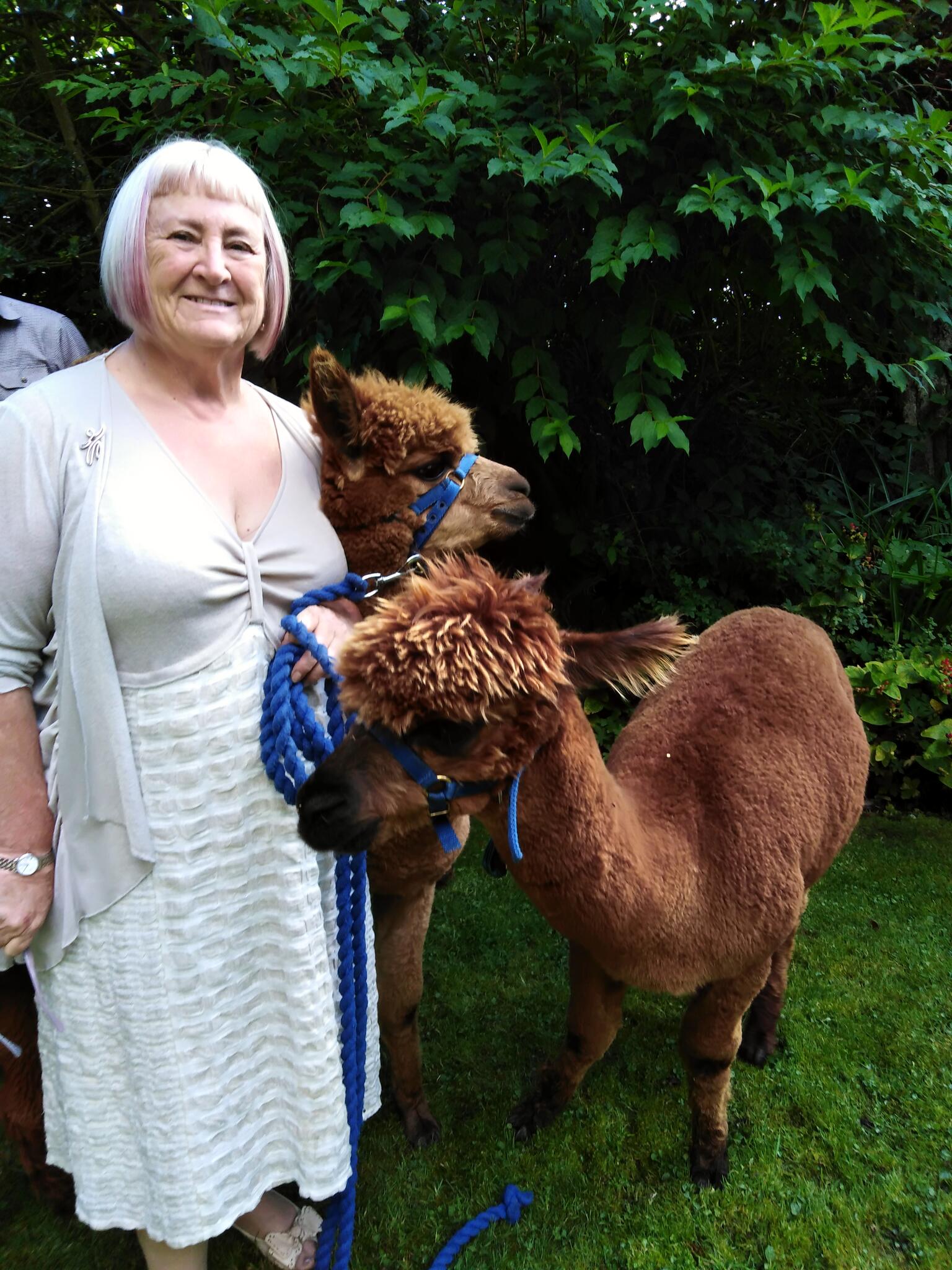 Val Turner Humanist Ceremonies - Shipley, England - Nextdoor