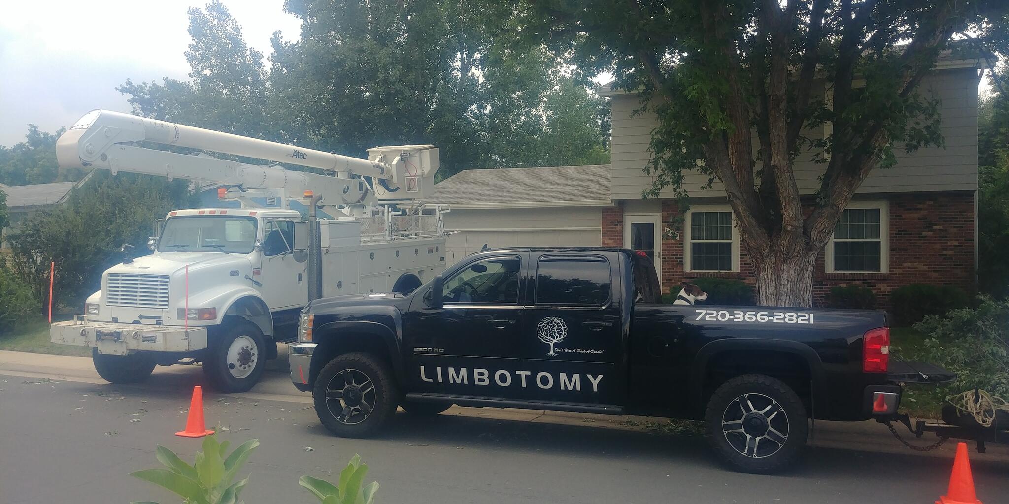 Limbotomy Tree Service - Northglenn, CO - Nextdoor