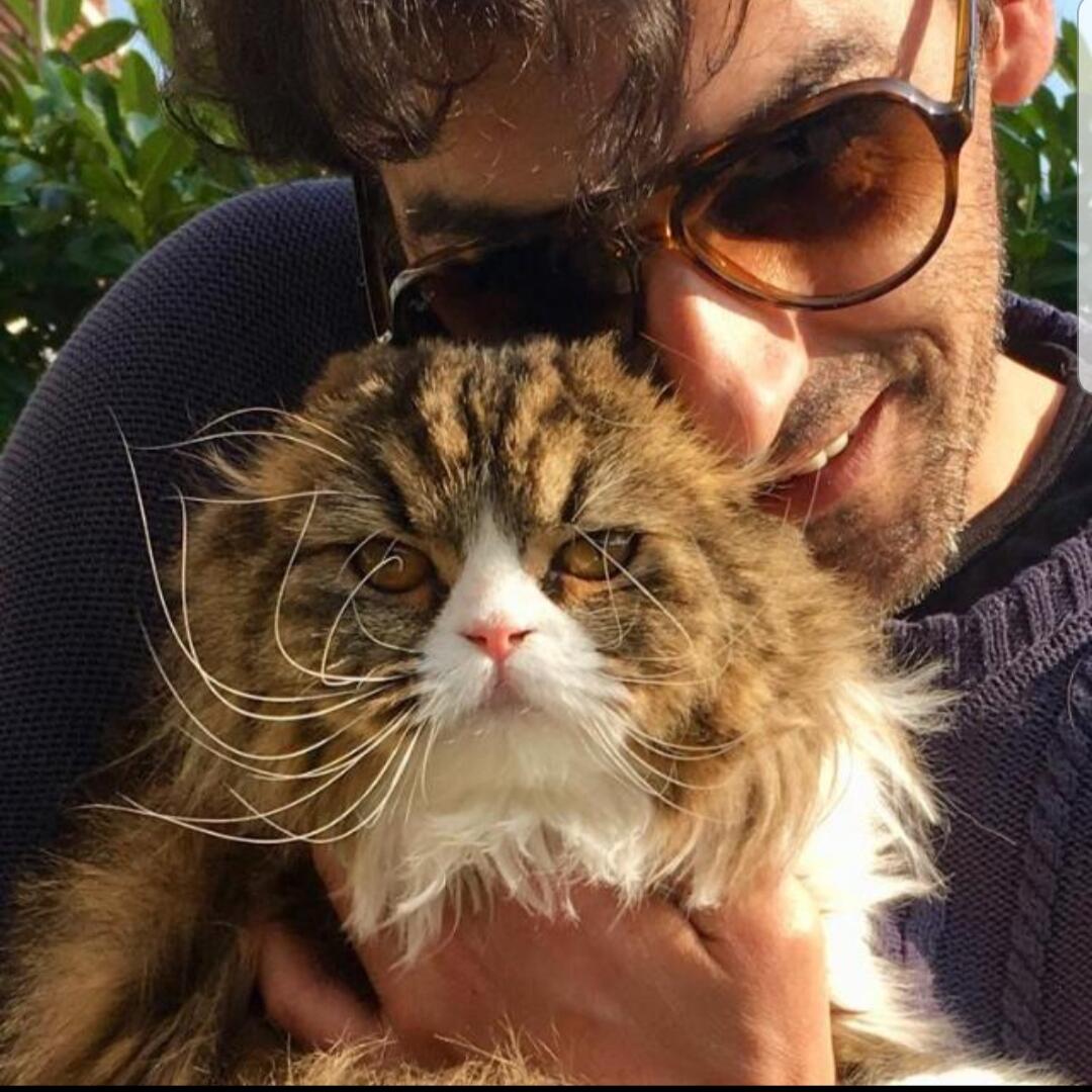 Mestre Lúcio | Home Services - Nextdoor