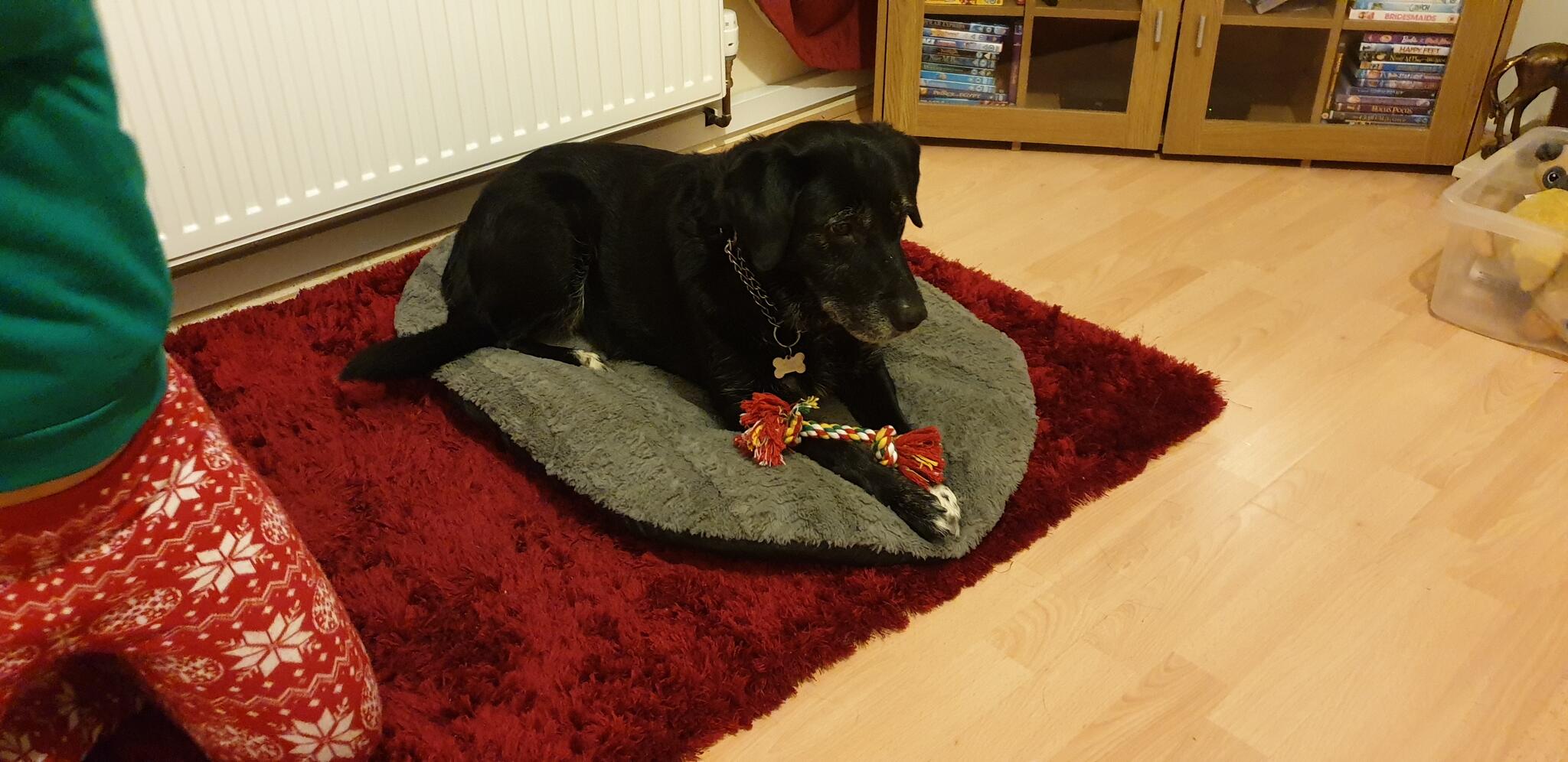 Sandy Howe - Swindon - Nextdoor