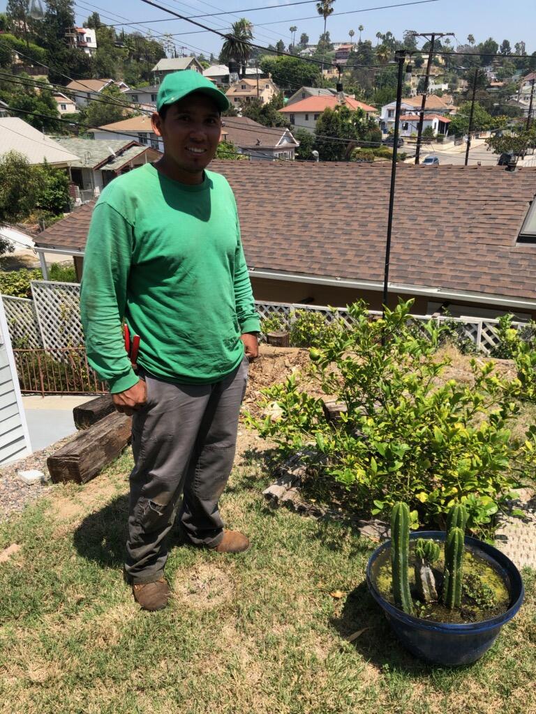 Jose Giron Lawn Services - Los Angeles, CA - Nextdoor