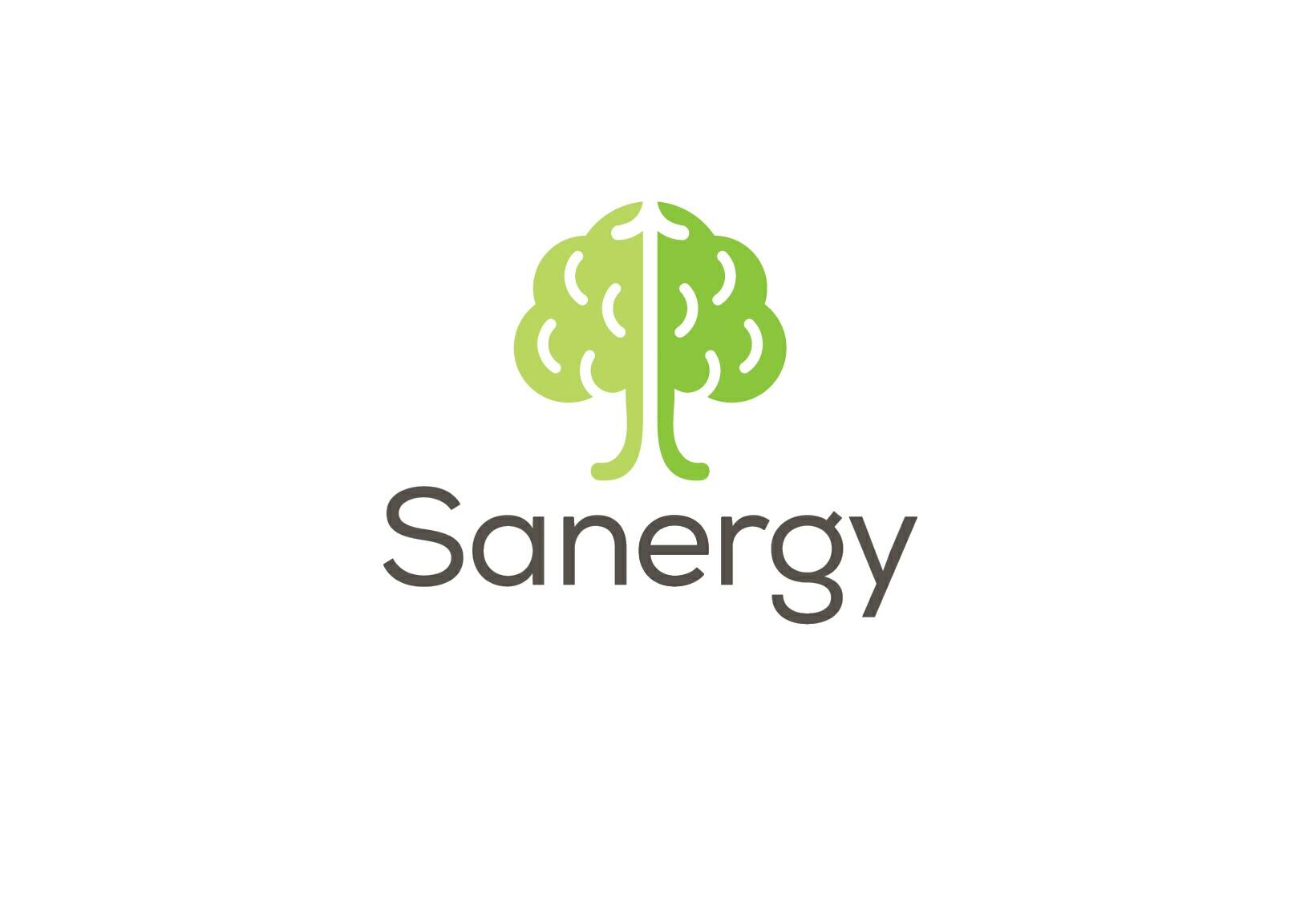 Sanergy Praktijk Voor Persoonlijke Groei En Ontwikkeling - Zutphen ...