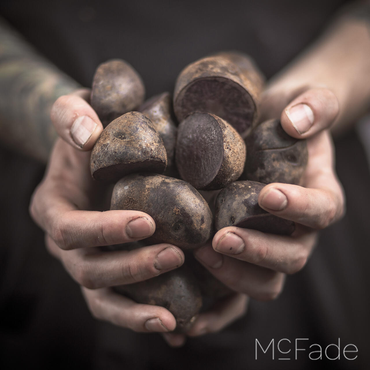 McFade Photography - Nextdoor