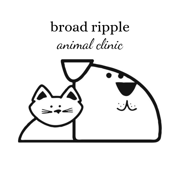 Broad Ripple Animal - Indianapolis, IN - Nextdoor