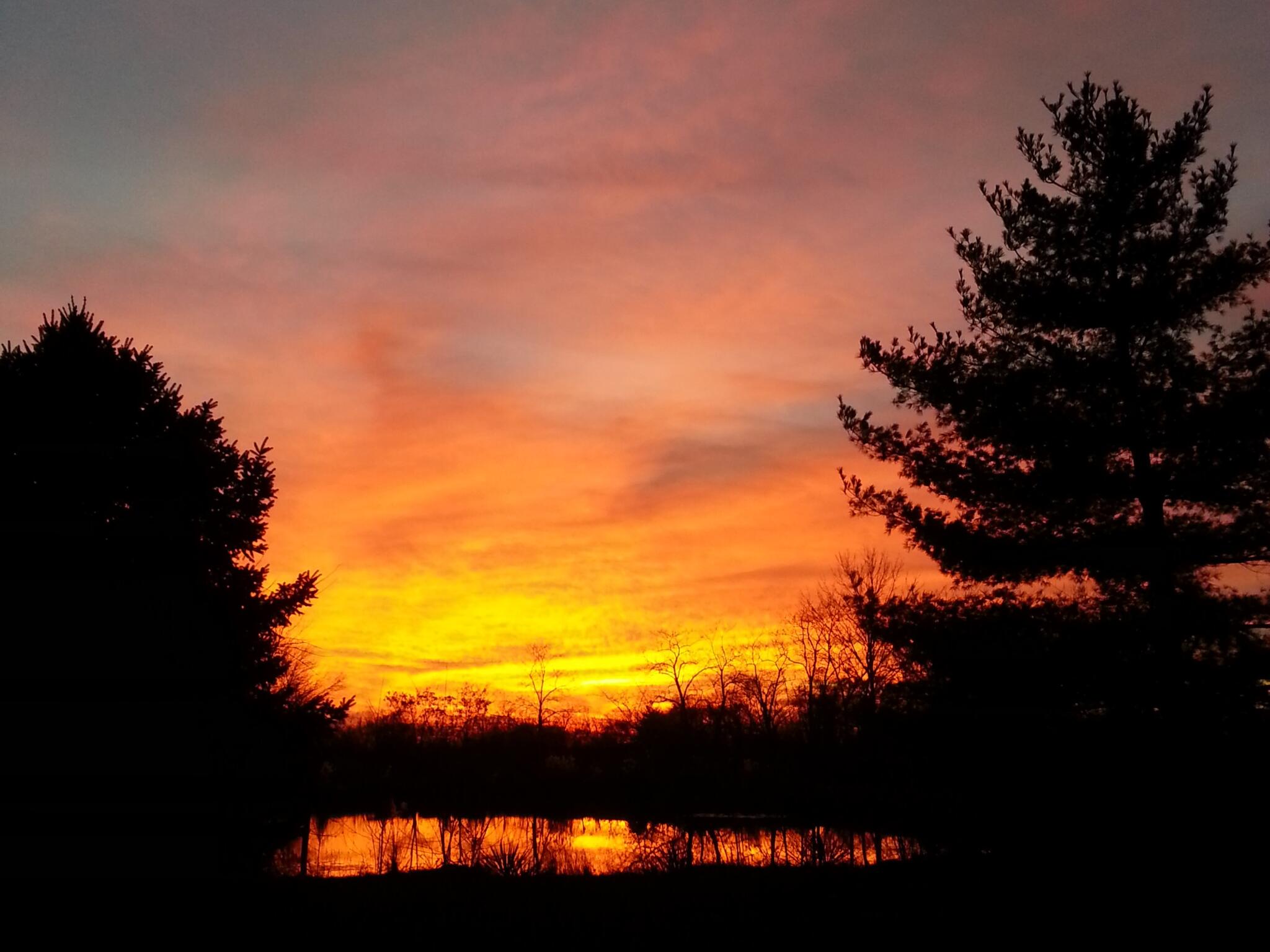 Bright Meadows Orchard - Bright, IN - Nextdoor