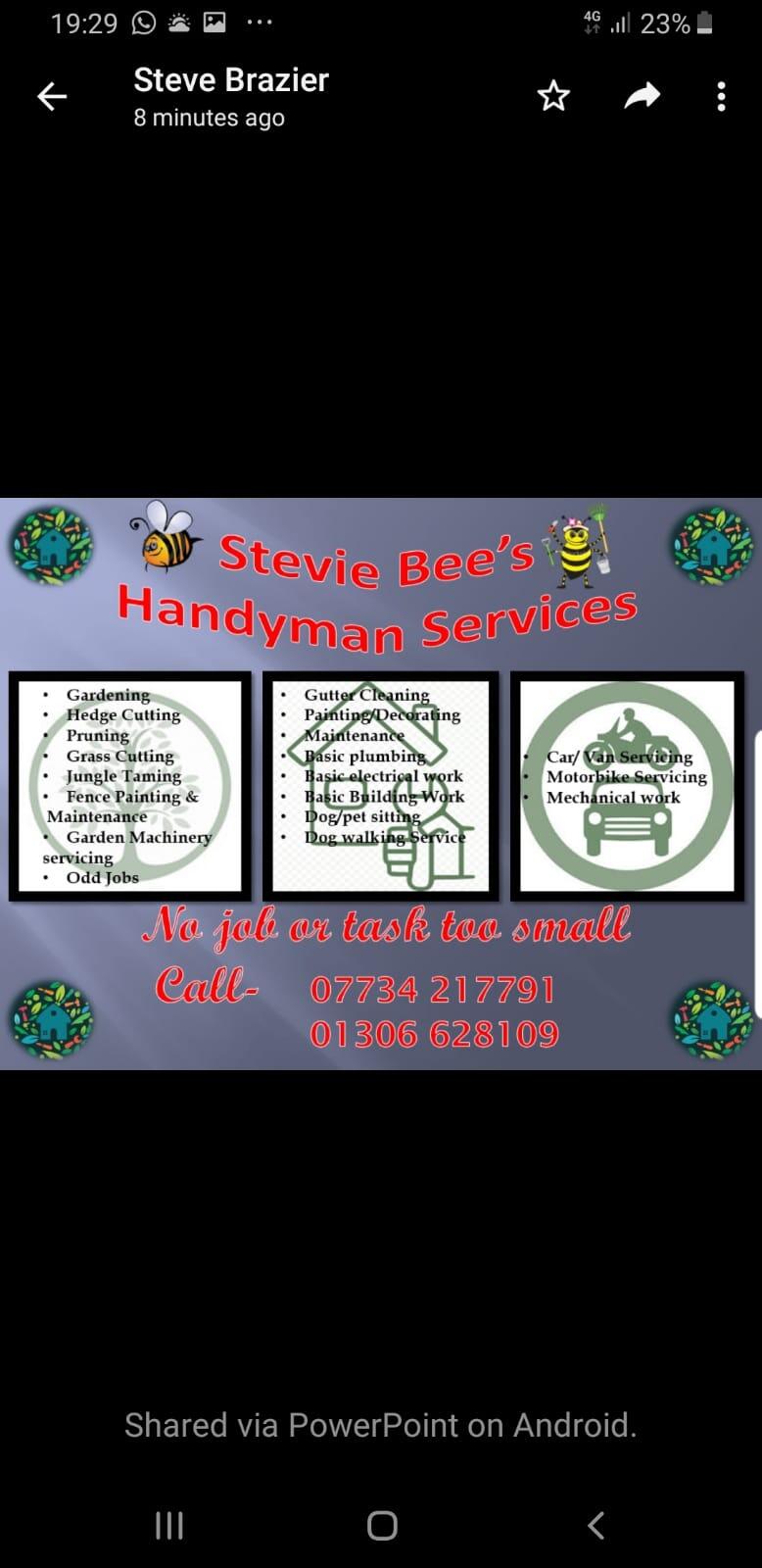 Stevie Bees - Dorking - Nextdoor