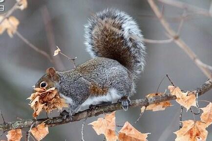 GO TO HECK - Nextdoor