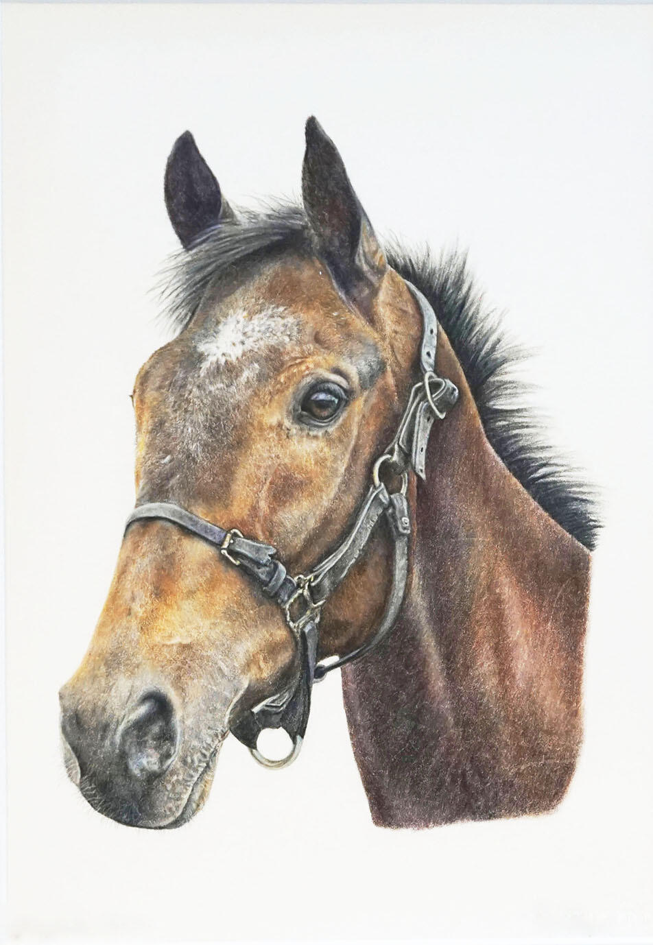 Jo Hooper Art & Design - Petersfield, England - Nextdoor