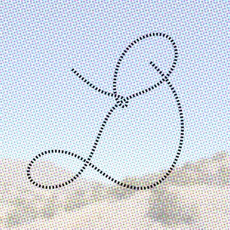 Lasso Design - Lakewood, CO - Nextdoor