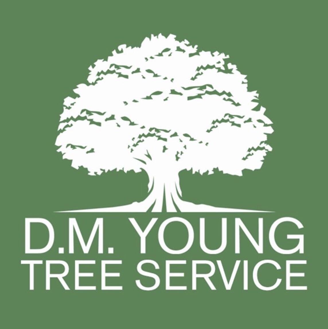 D M Young Tree Service, Inc. - Loxahatchee, FL - Nextdoor