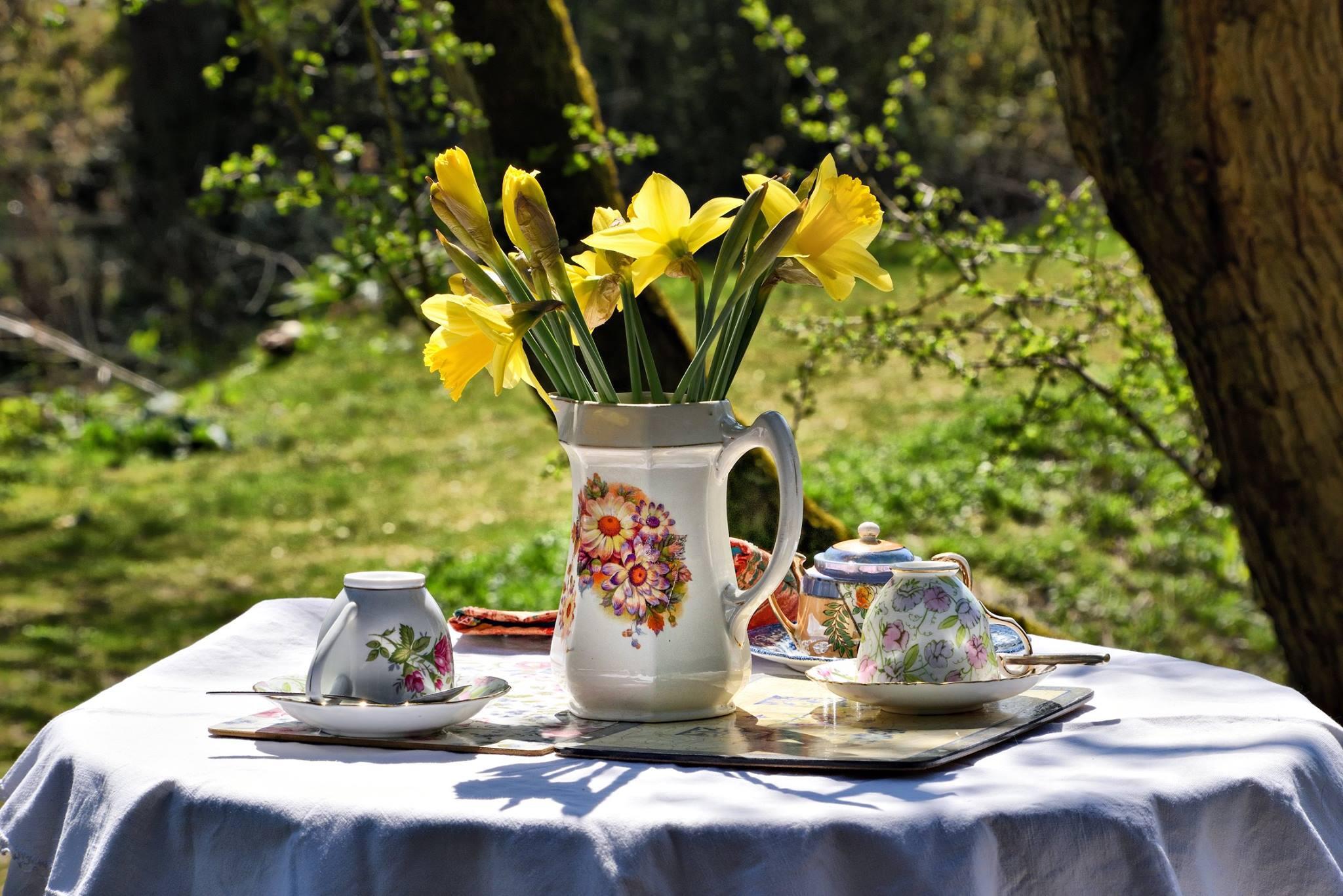 Jenny Wren's Tea In The Park - Sudbury, England - Nextdoor