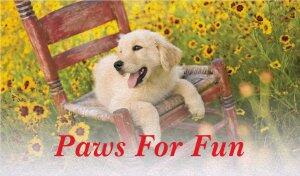 Paws For Fun - Mahwah, NJ - Nextdoor