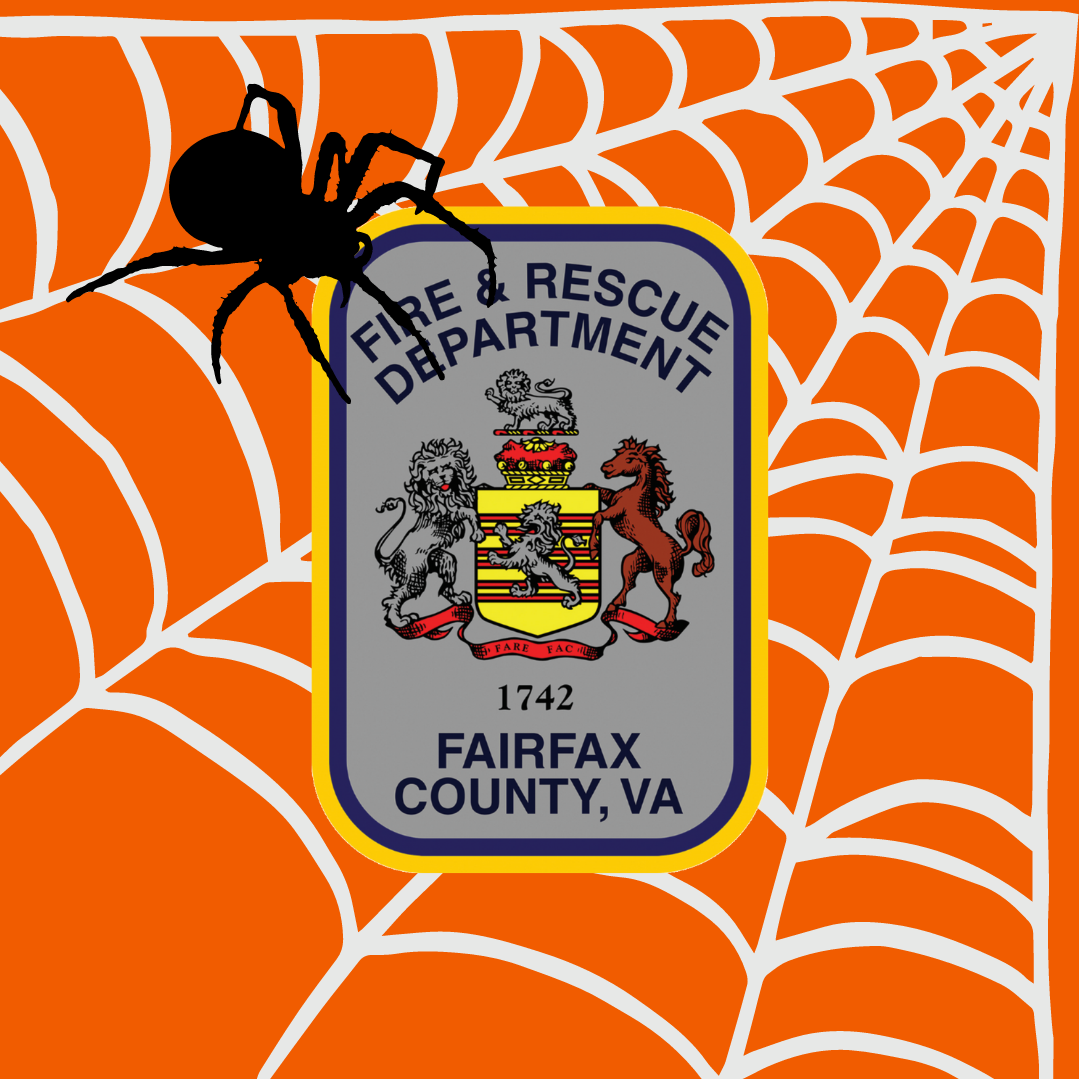 Training for an Ice Water Rescue (Fairfax County Fire and Rescue ...