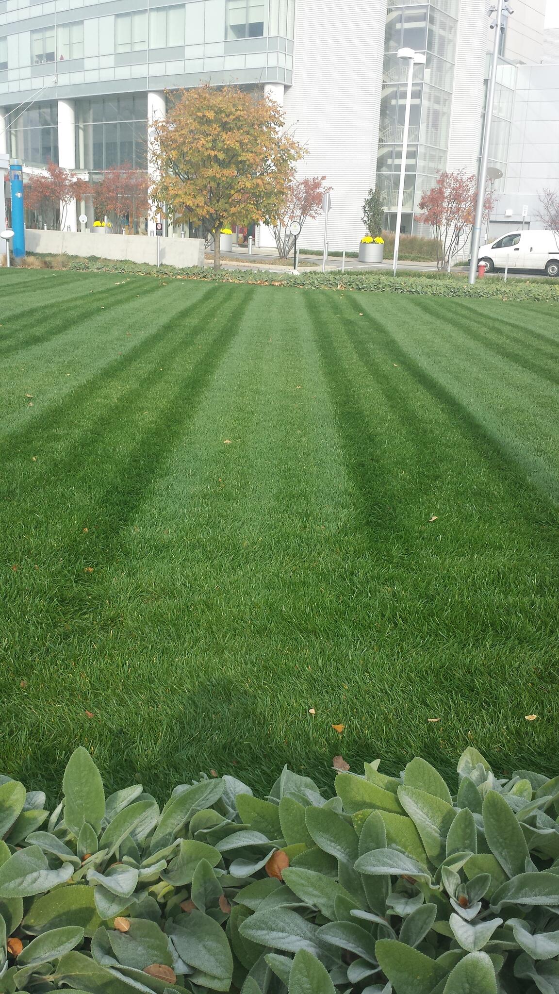 Carl's Lawn Care Plus Llc - Nextdoor